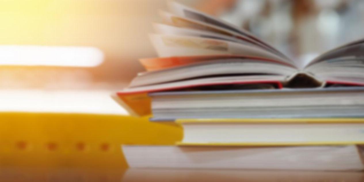 ICSE Geography Class 6 Syllabus ICSE Portal